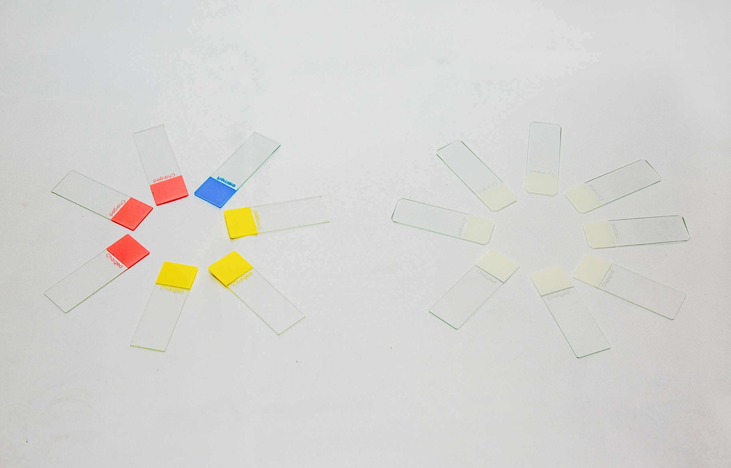 Microscope Slides 9308 Charged